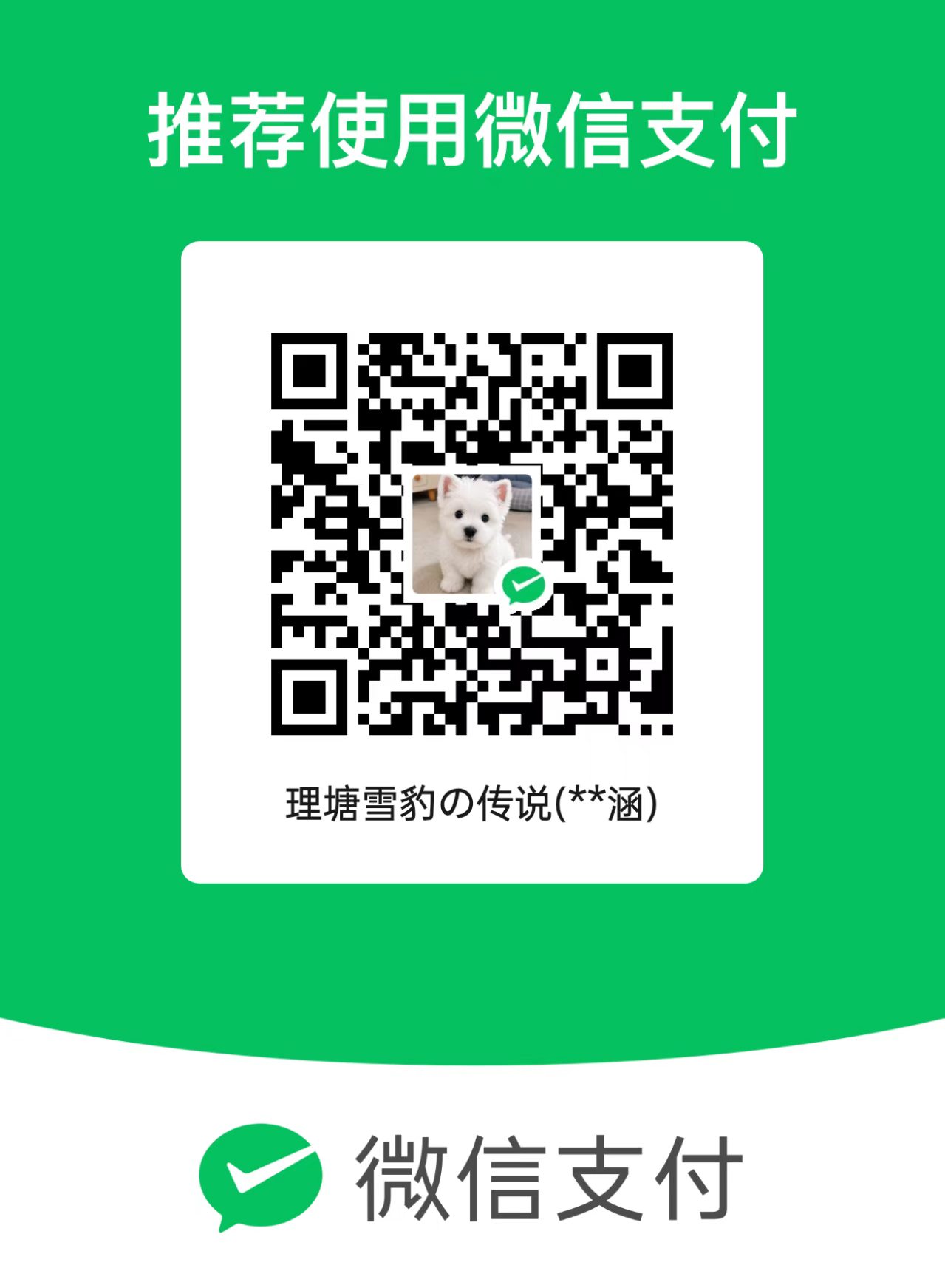 SnowLeopard Vision V1.4